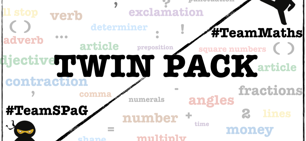 Ninja Numeracy – Vocabulary Ninja