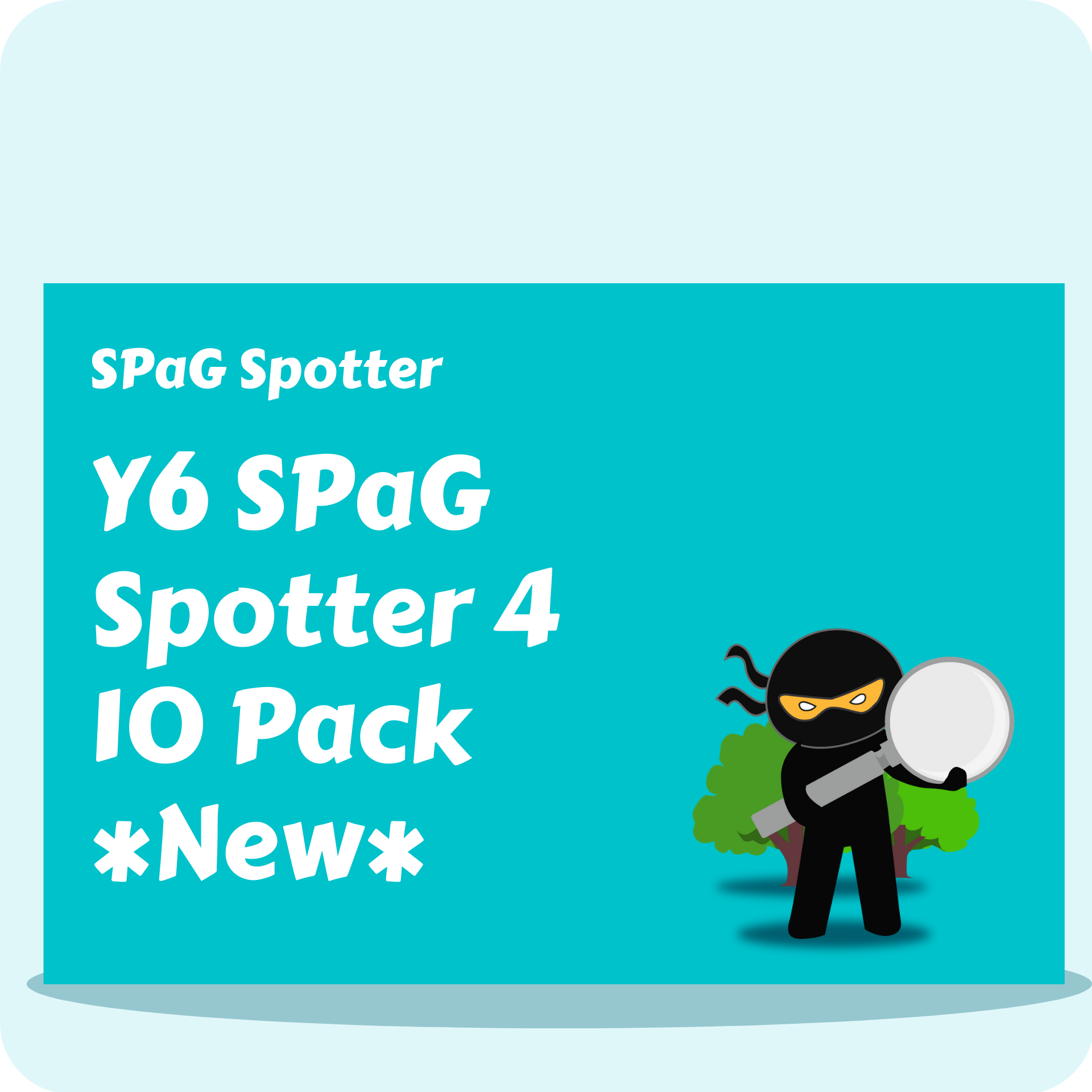 Y6 SPaG Spotter 4 – 10 Pack *New* – Vocabulary Ninja