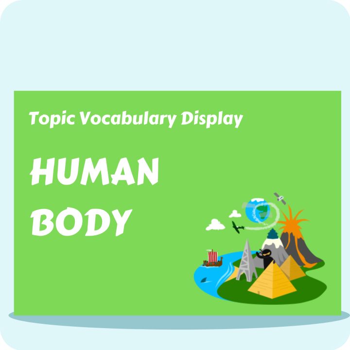 Human Body Vocabulary Display Pack – Vocabulary Ninja