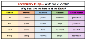 Write Like A… – Vocabulary Ninja