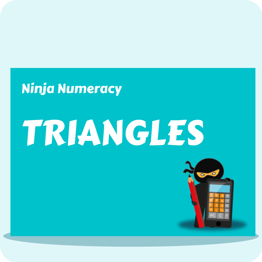 Ninja Numeracy – Vocabulary Ninja