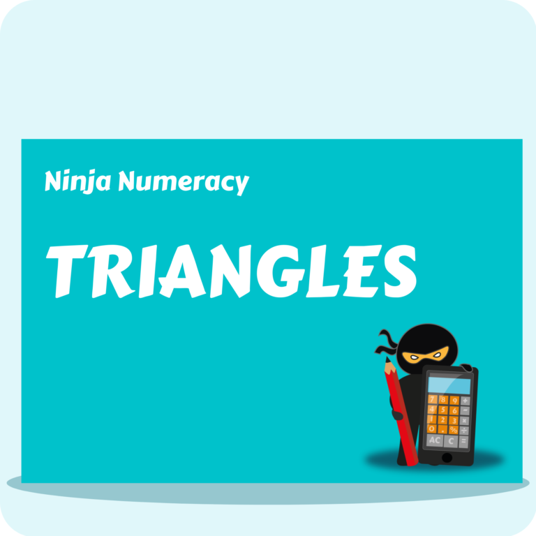 Ninja Numeracy – Vocabulary Ninja