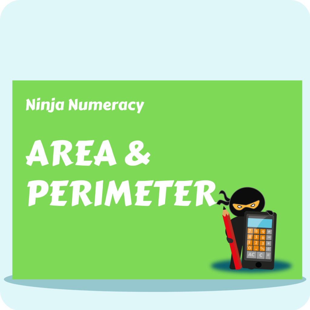 Ninja Numeracy – Vocabulary Ninja