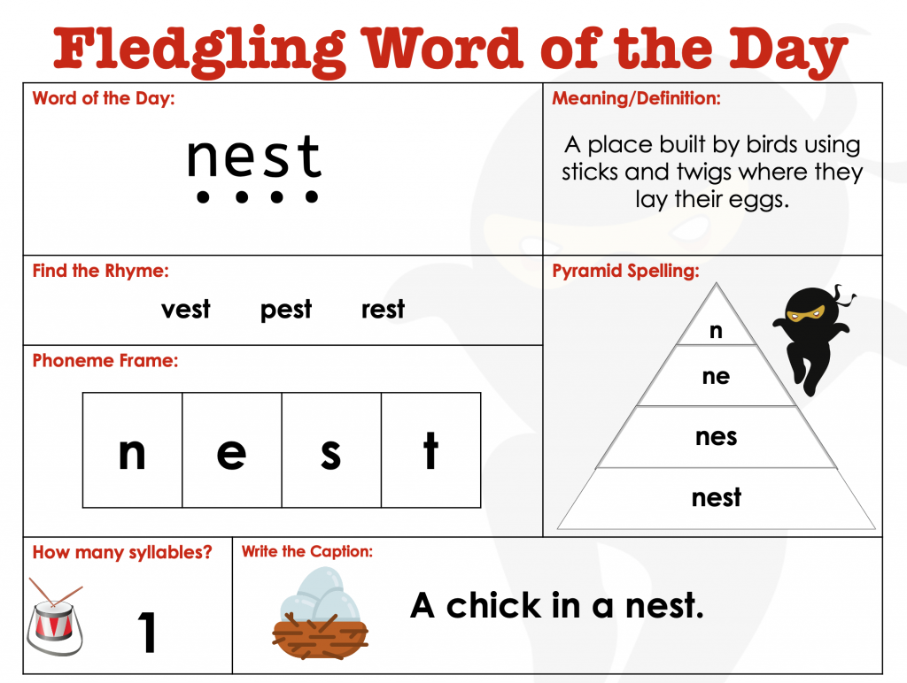 EYFS Word Of The Day – Vocabulary Ninja