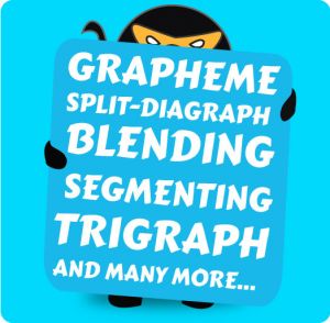 Vocabulary Ninja – Teaching Simplified, Learning Amplified!