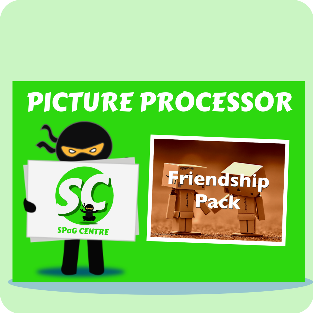 SPaG Centre – Vocabulary Ninja