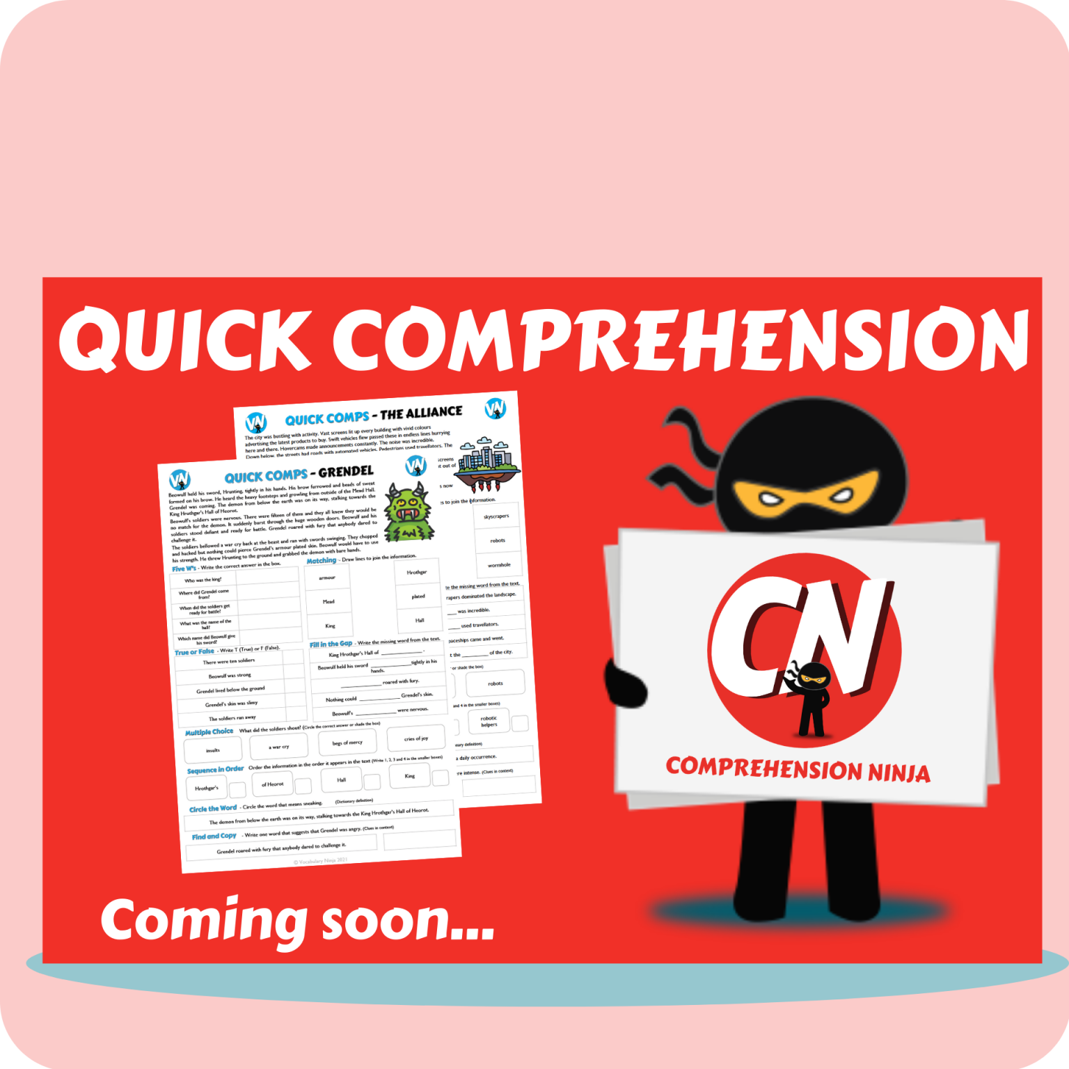 Comprehension Ninja | Vocabulary Ninja