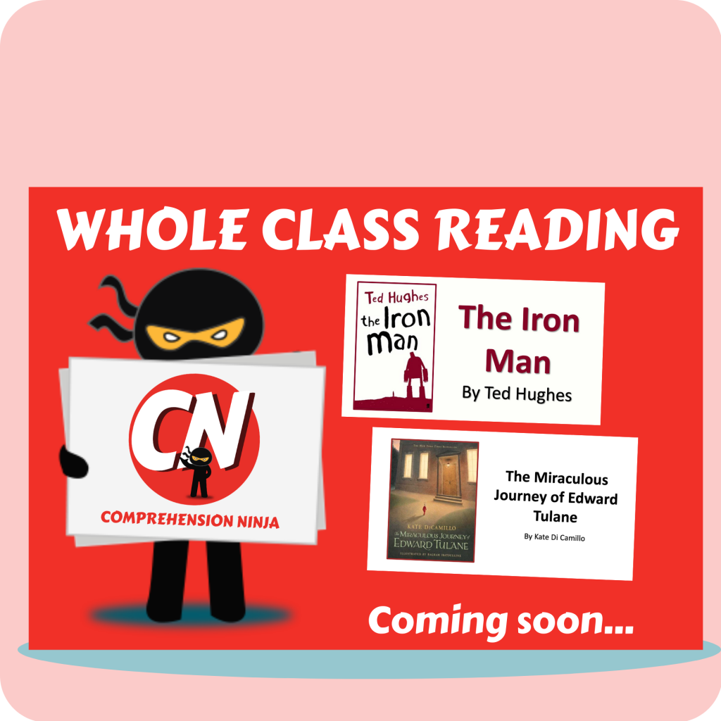 Comprehension Ninja – Vocabulary Ninja