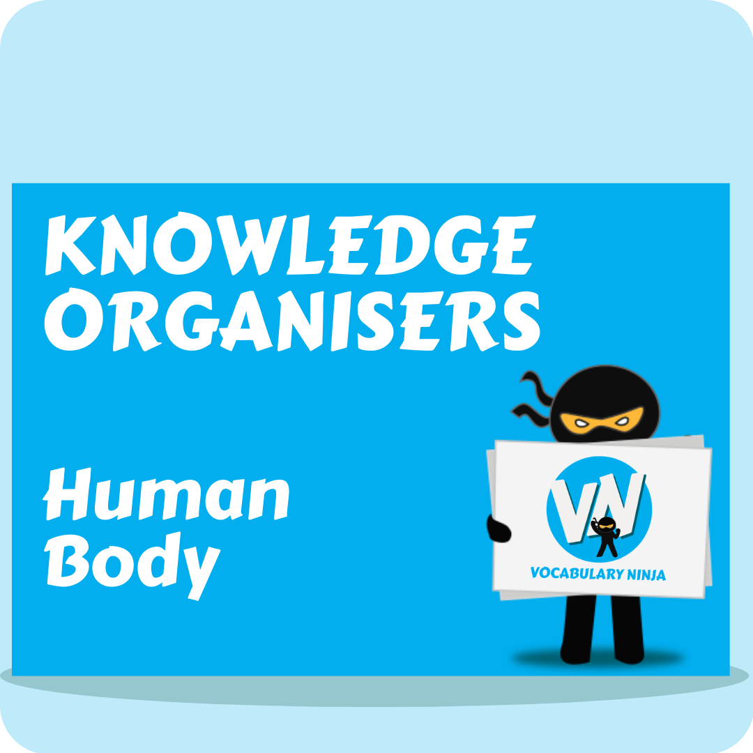 Human Body Knowledge Organiser – Vocabulary Ninja