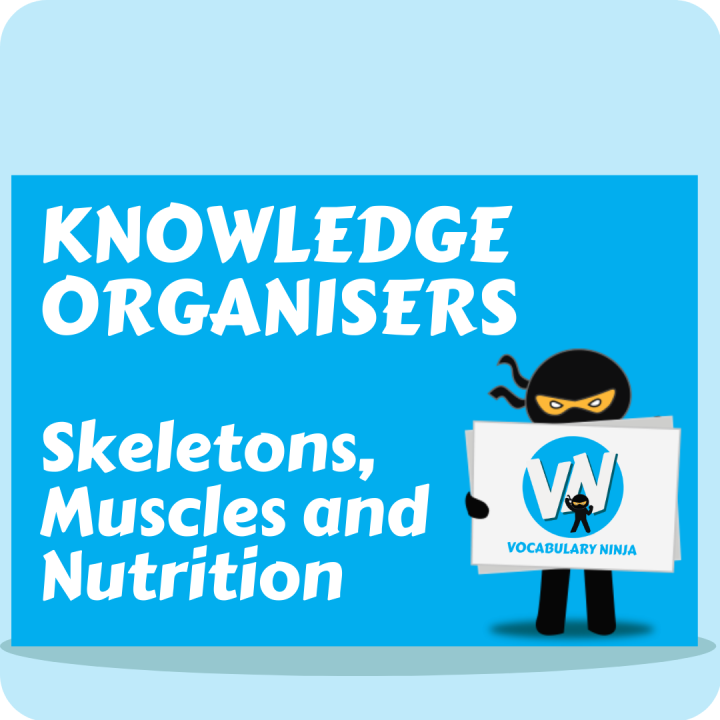 Skeletons, Muscles and Nutrition Knowledge Organiser – Vocabulary Ninja