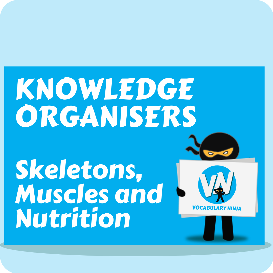 Skeletons, Muscles and Nutrition Knowledge Organiser – Vocabulary Ninja
