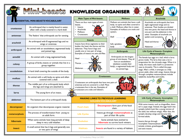Knowledge Organisers – Vocabulary Ninja