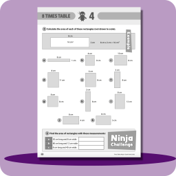 Times Tables Ninja – Vocabulary Ninja