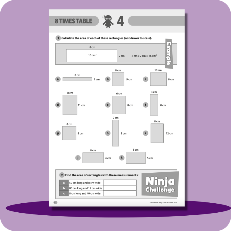 Times Tables Ninja – Vocabulary Ninja