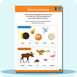 Vocabulary Ninja Workbooks – Vocabulary Ninja