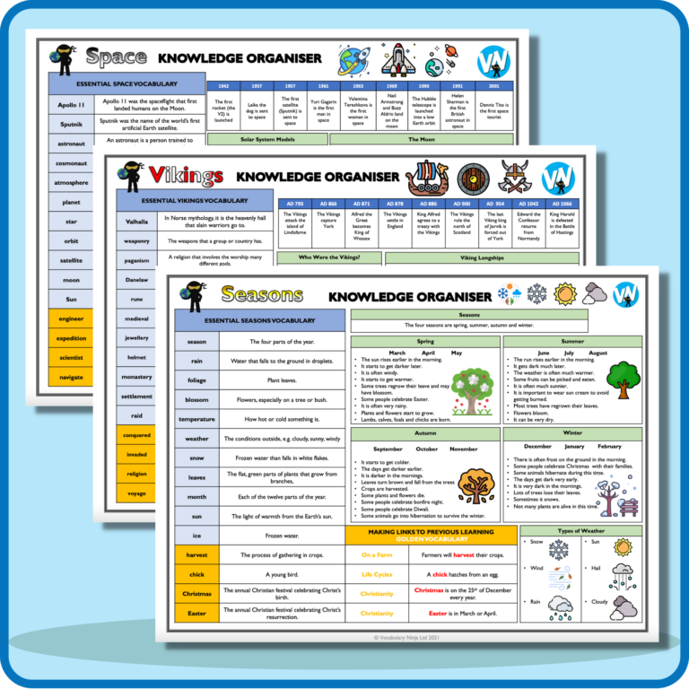 Vocabulary Ninja – Teaching Simplified, Learning Amplified!