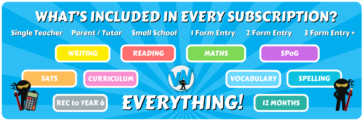 Vocabulary Ninja – Teaching Simplified, Learning Amplified!