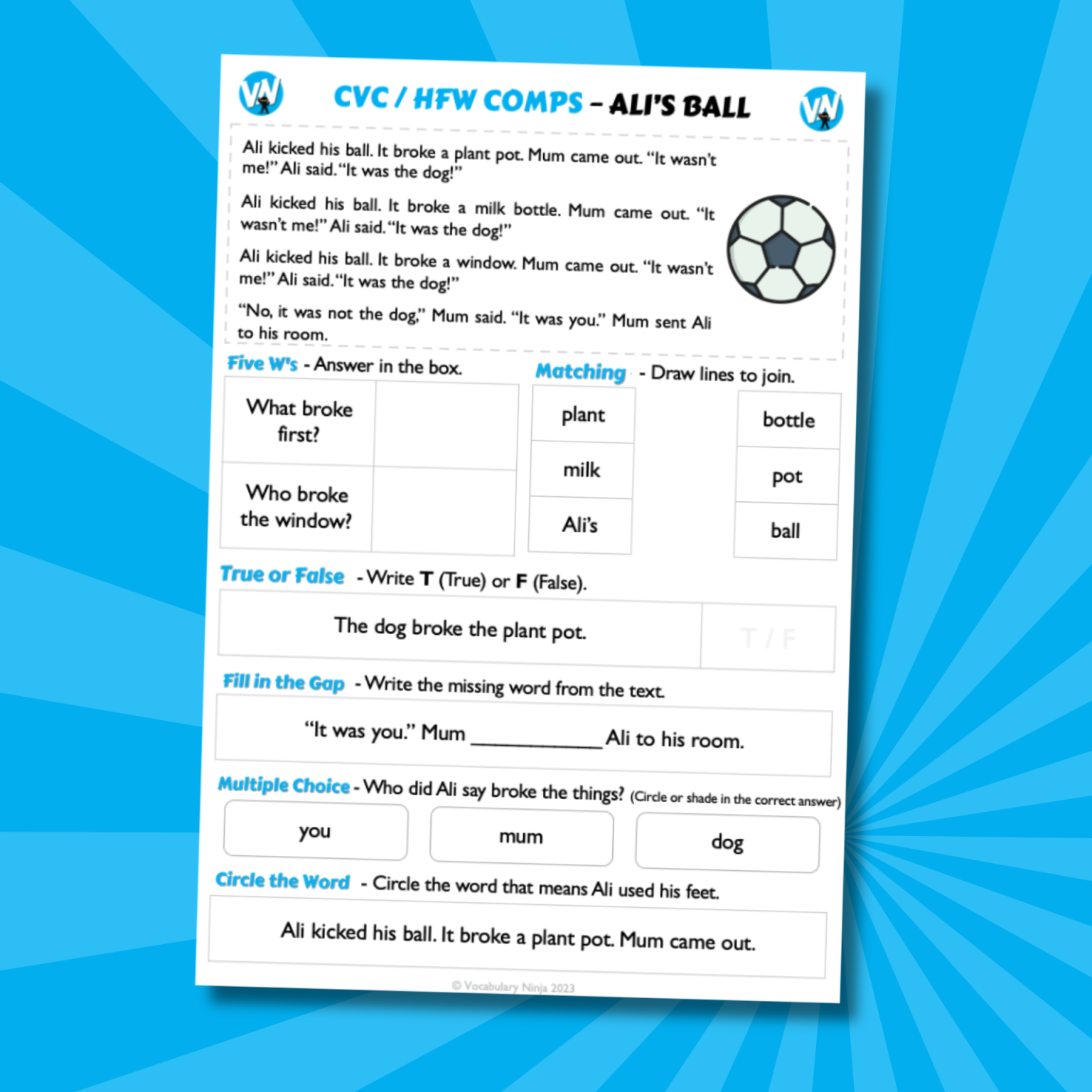 CVC / HFW Quick Comprehensions – Vocabulary Ninja