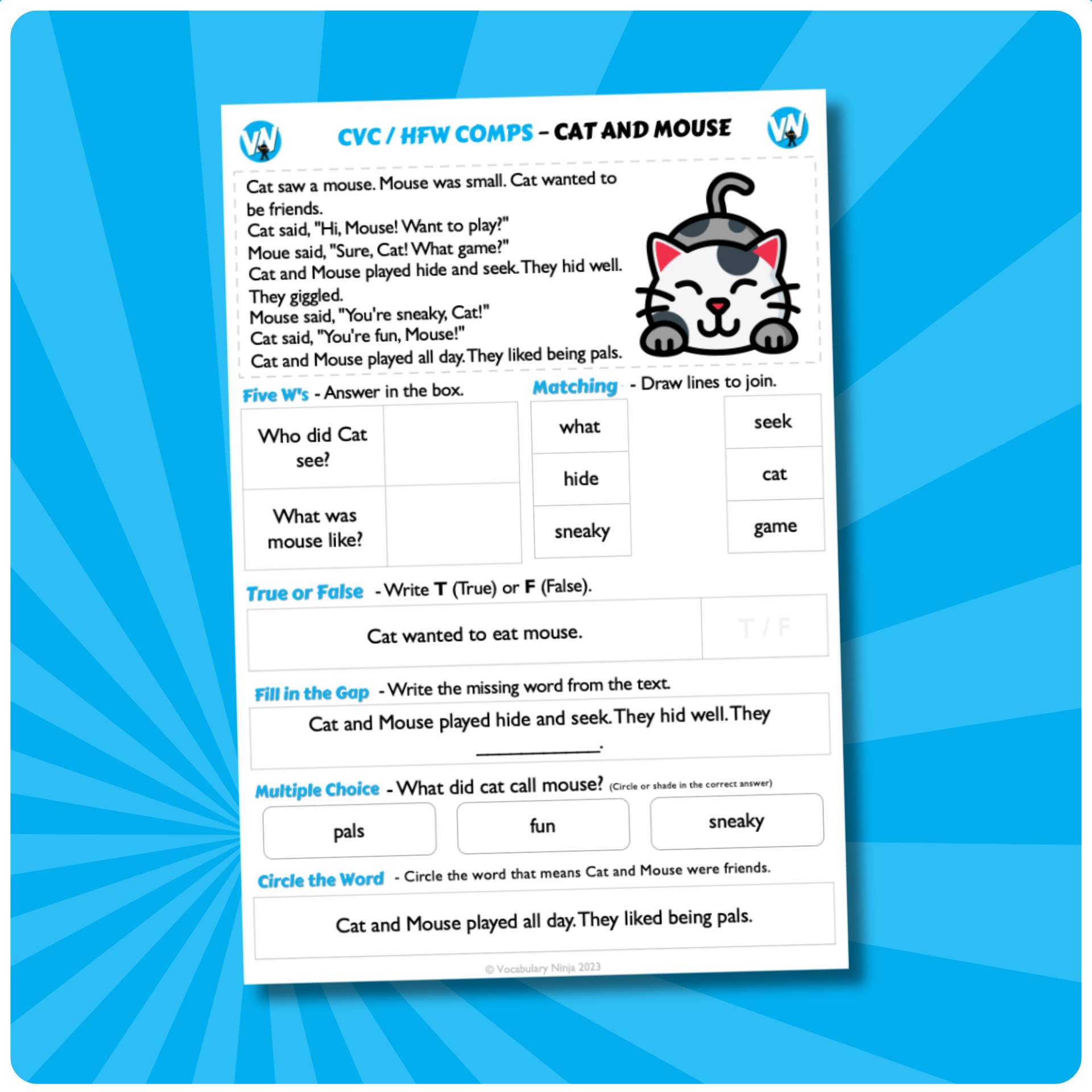 Cat and Mouse – CVC / HFW QC – Vocabulary Ninja