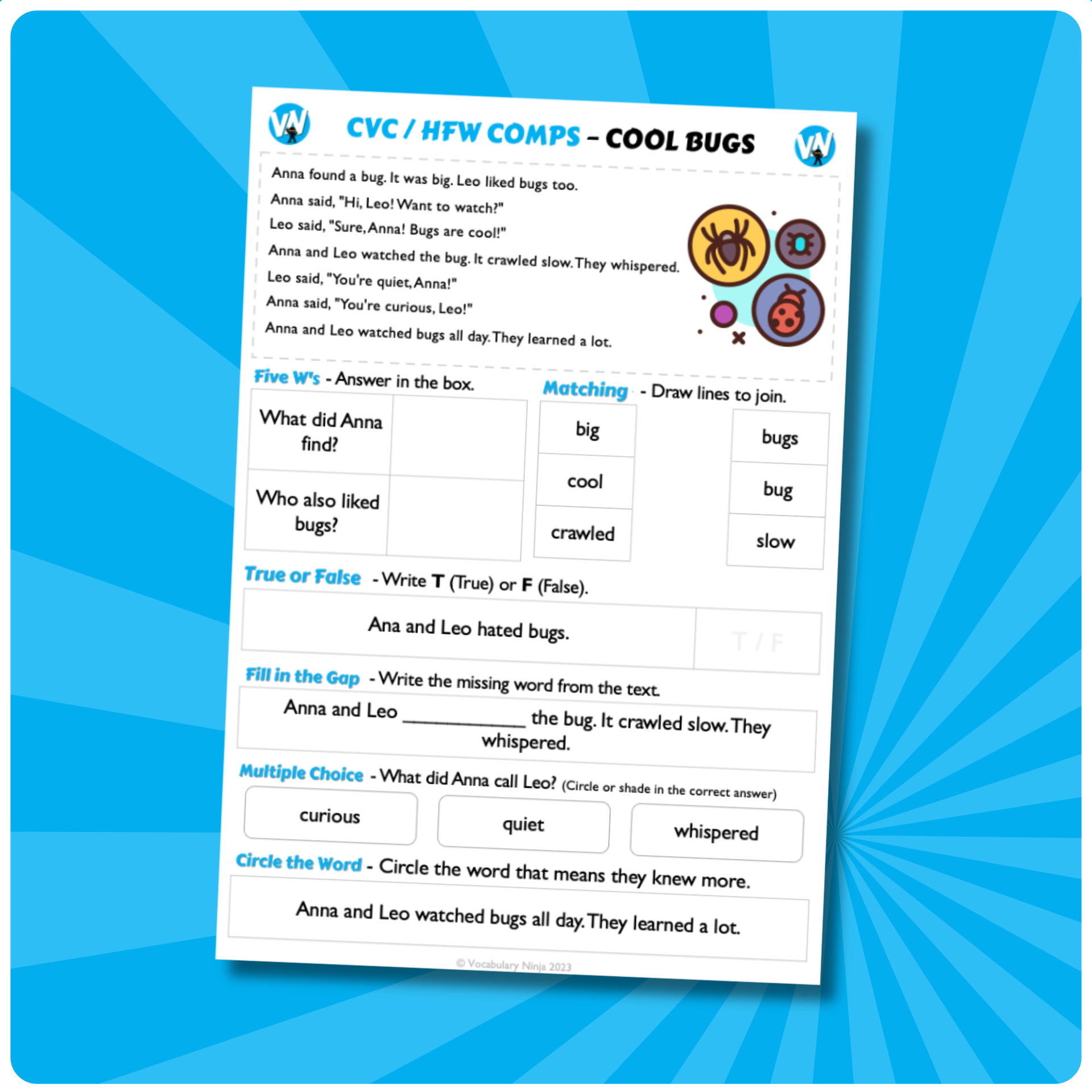 Cool Bugs – CVC / HFW QC – Vocabulary Ninja