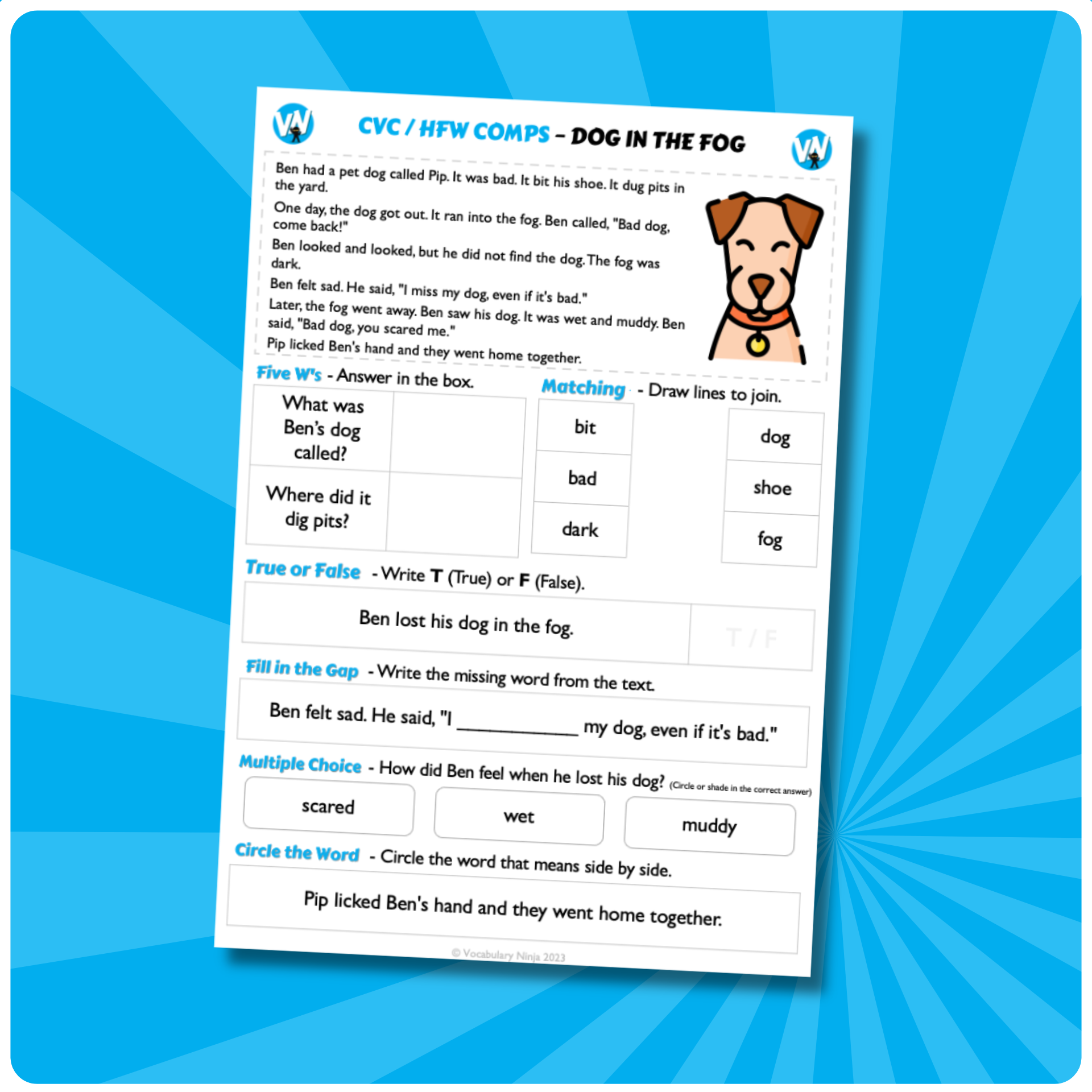 Dog in the Fog – CVC / HFW QC – Vocabulary Ninja