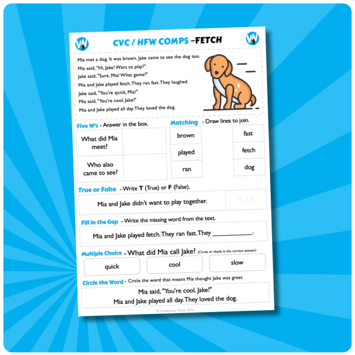 Fetch – CVC / HFW QC – Vocabulary Ninja