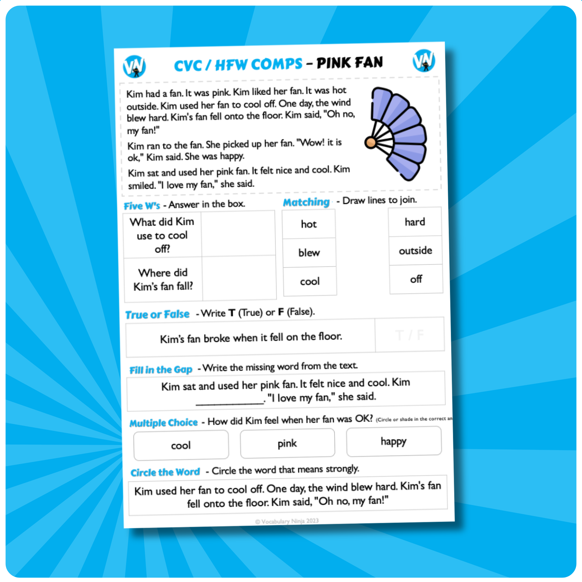 Pink Fan – CVC / HFW QC – Vocabulary Ninja