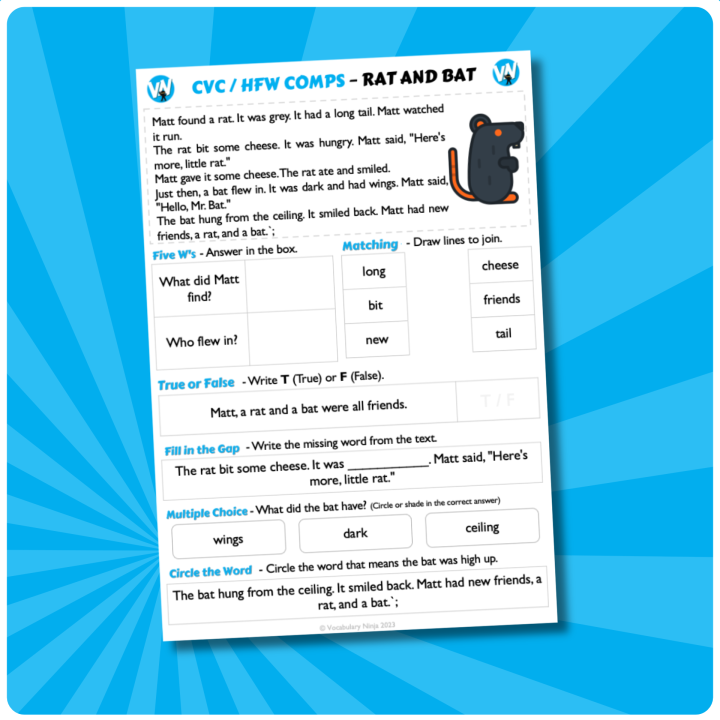 Rat and Bat – CVC / HFW QC – Vocabulary Ninja