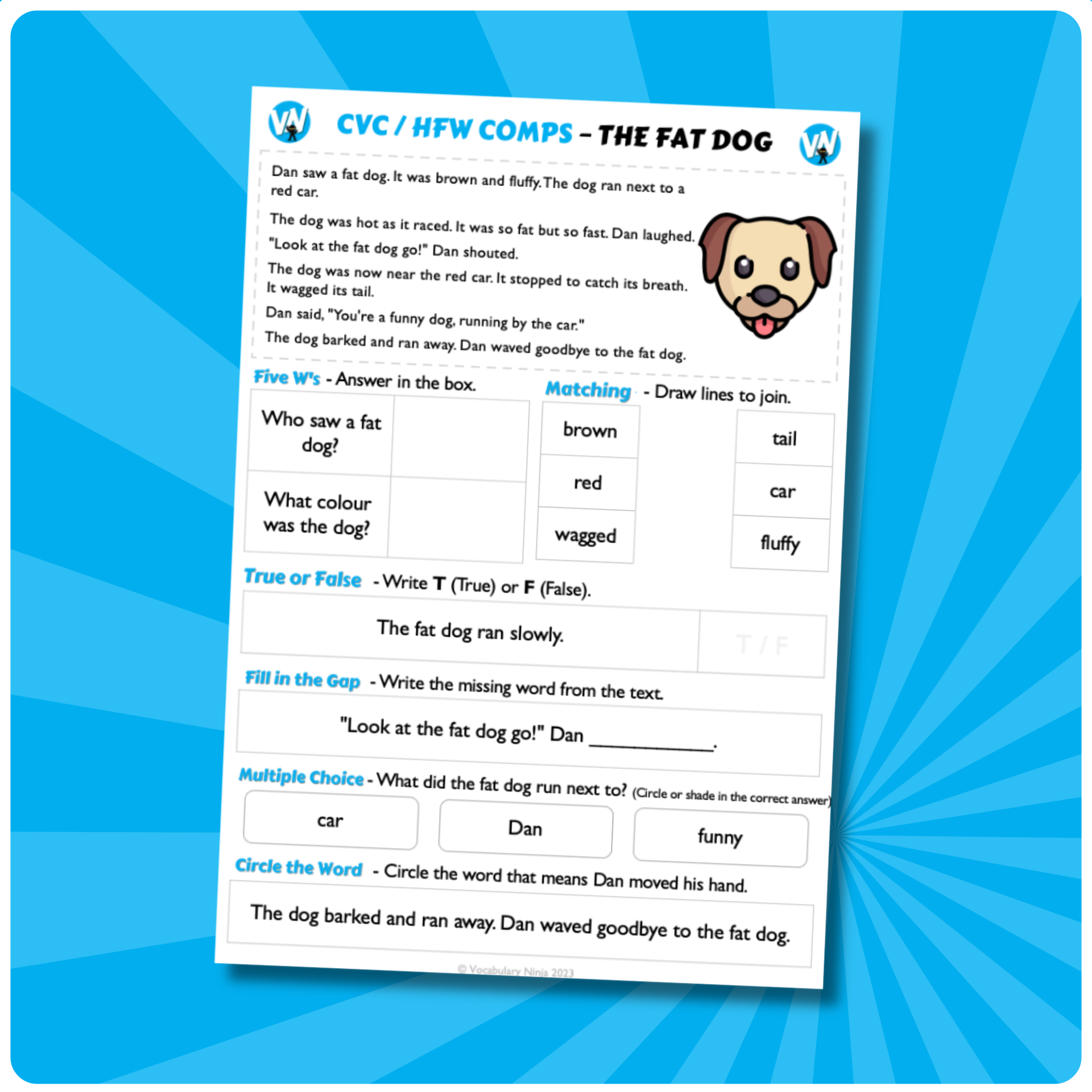 The Fat Dog – CVC / HFW QC – Vocabulary Ninja