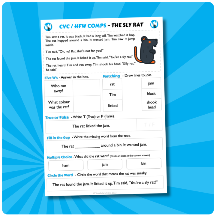 The Sly Rat – CVC / HFW QC – Vocabulary Ninja