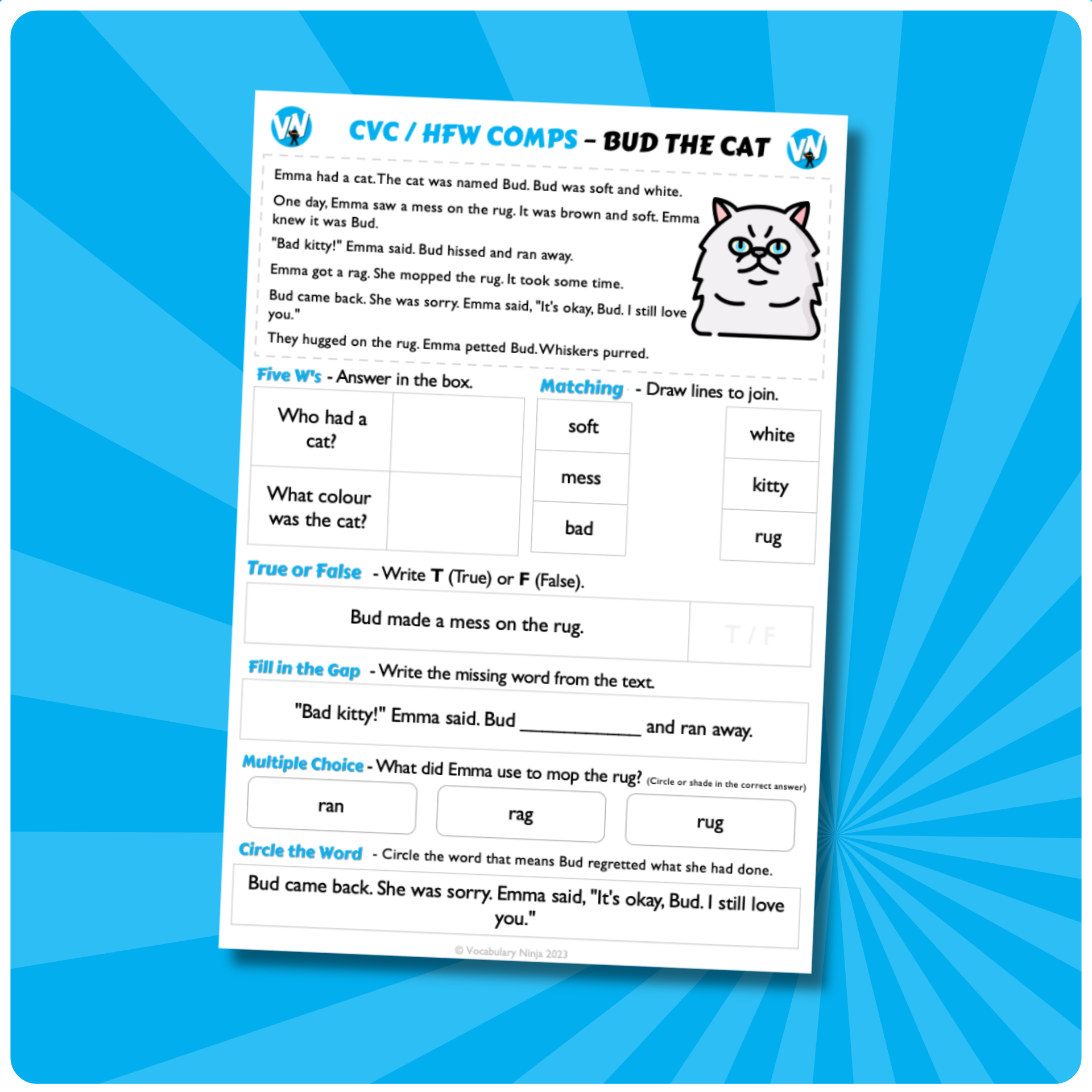 Bud the Cat – CVC / HFW QC – Vocabulary Ninja