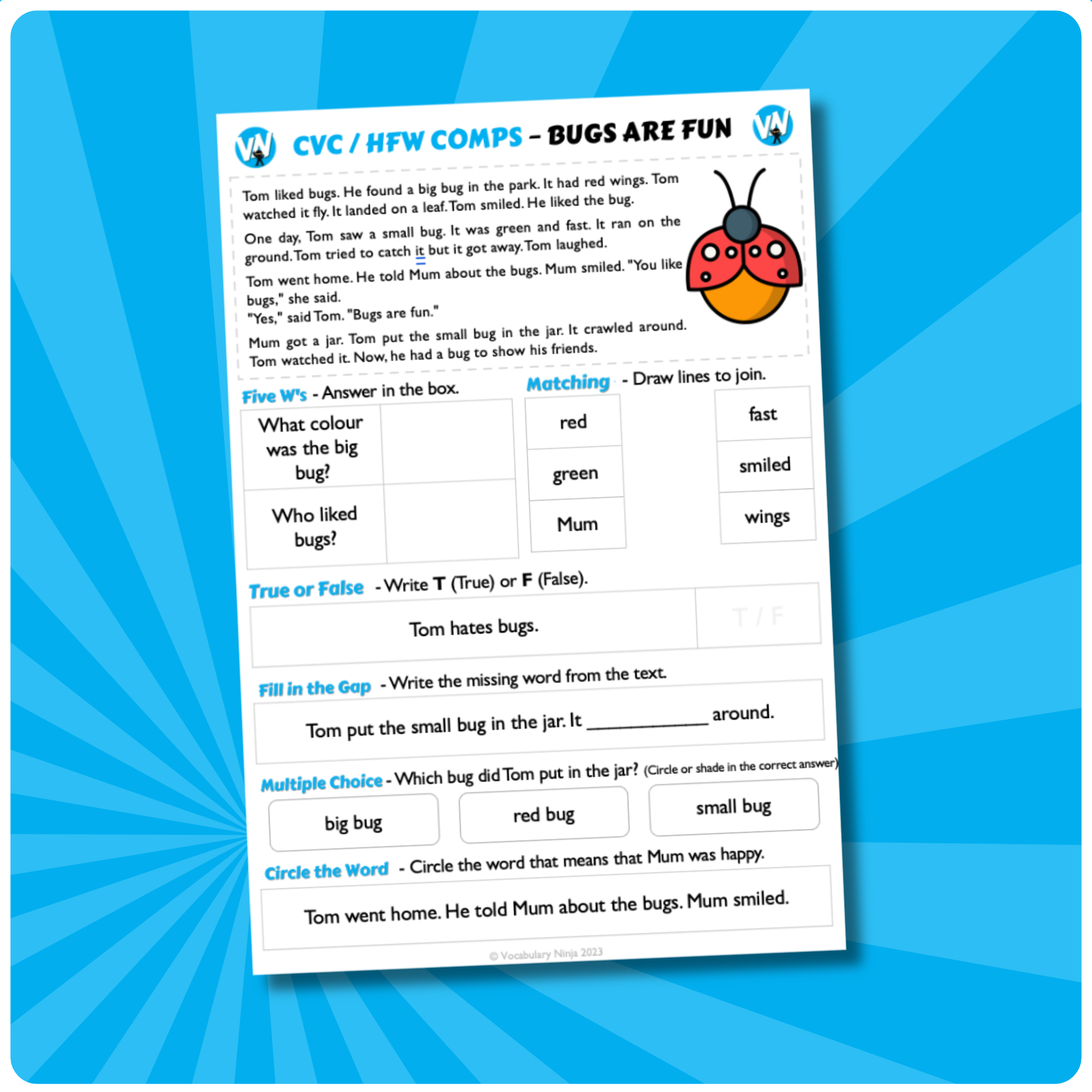 Bugs are Fun – CVC / HFW QC – Vocabulary Ninja