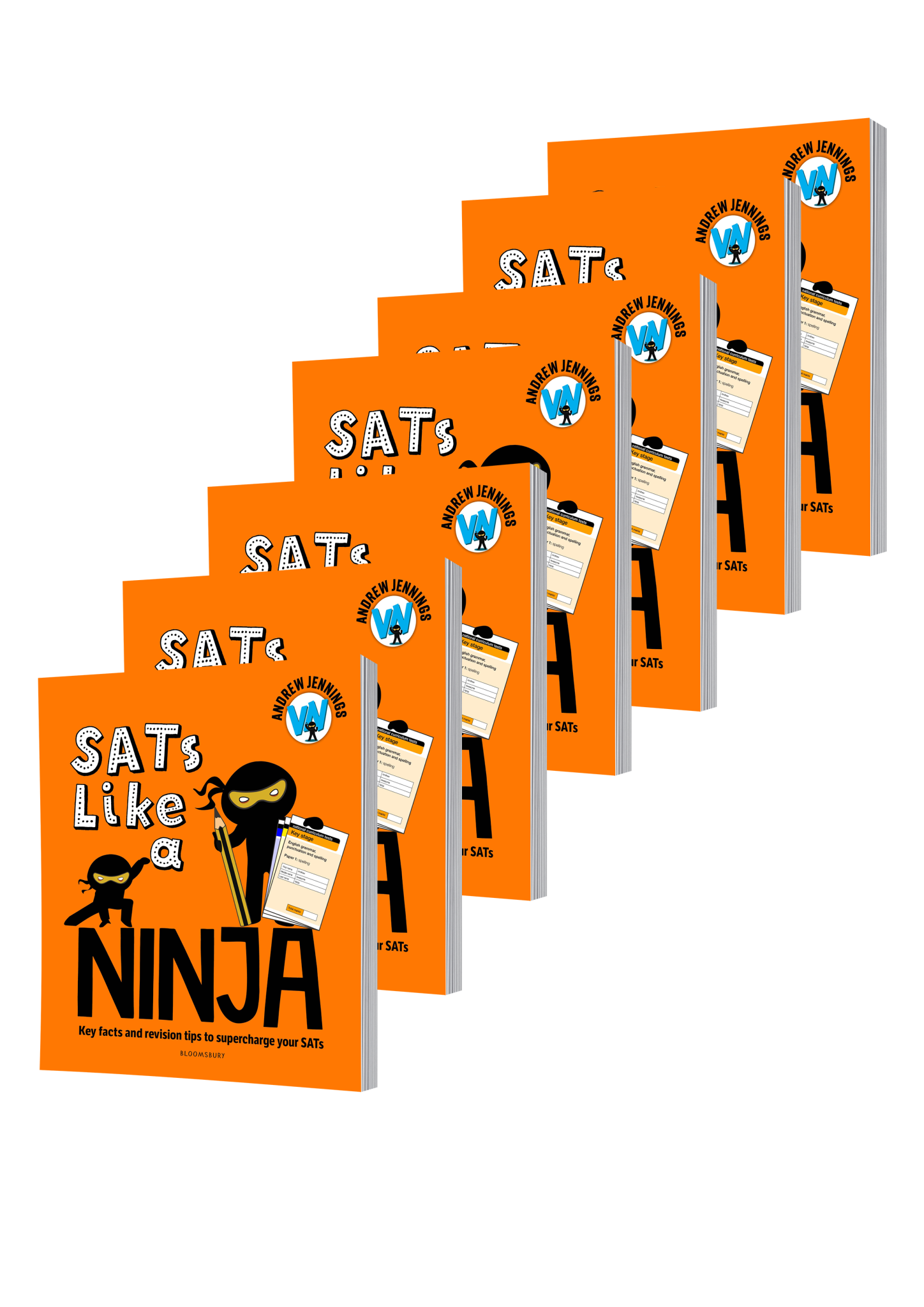 SATs Like A Ninja – Vocabulary Ninja