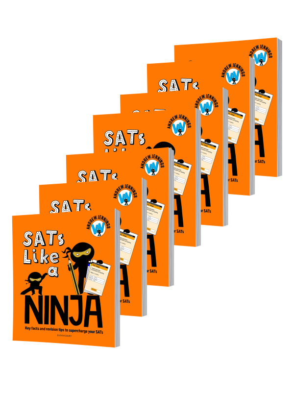 SATs Like A Ninja – Vocabulary Ninja