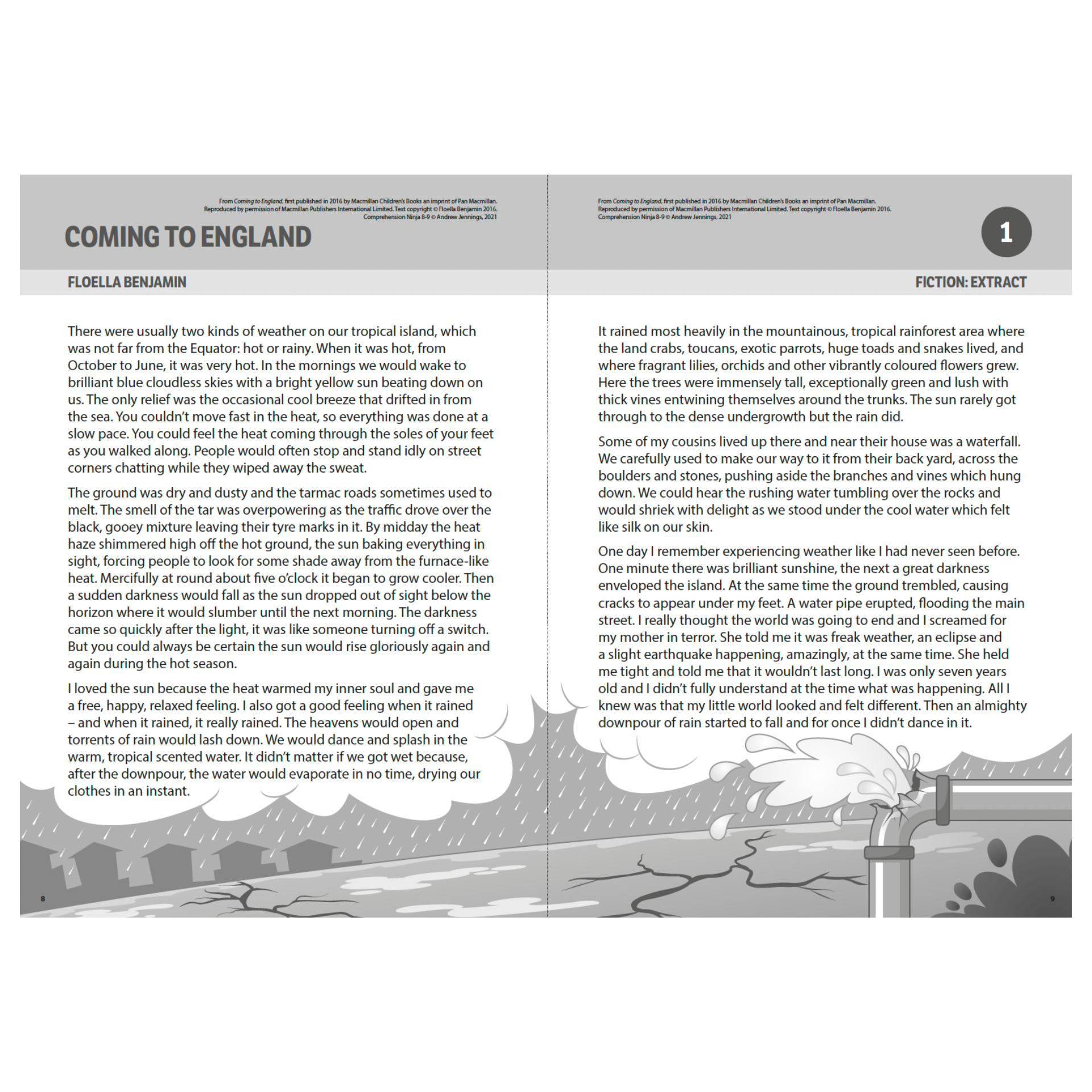 Comprehension Ninja – Fiction and Poetry Bundle – Vocabulary Ninja