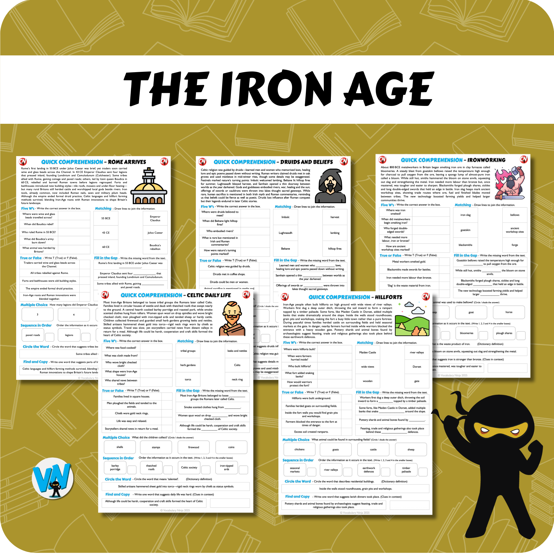 Quick Comprehension Topic Bundle – Y5 Bundle (10 packs) – Vocabulary Ninja