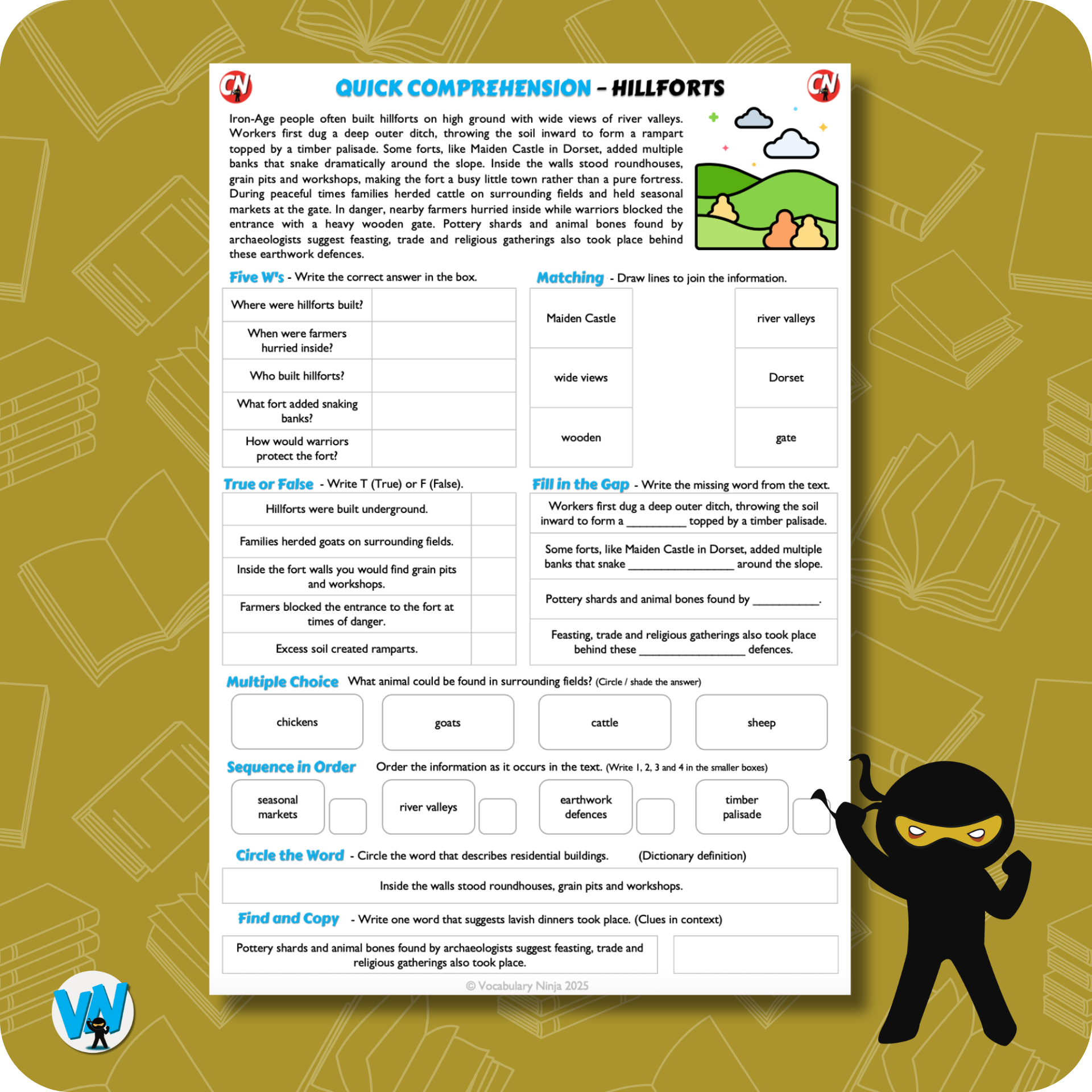 Quick Comprehension Topic Bundle – Y5 Iron Age – Vocabulary Ninja