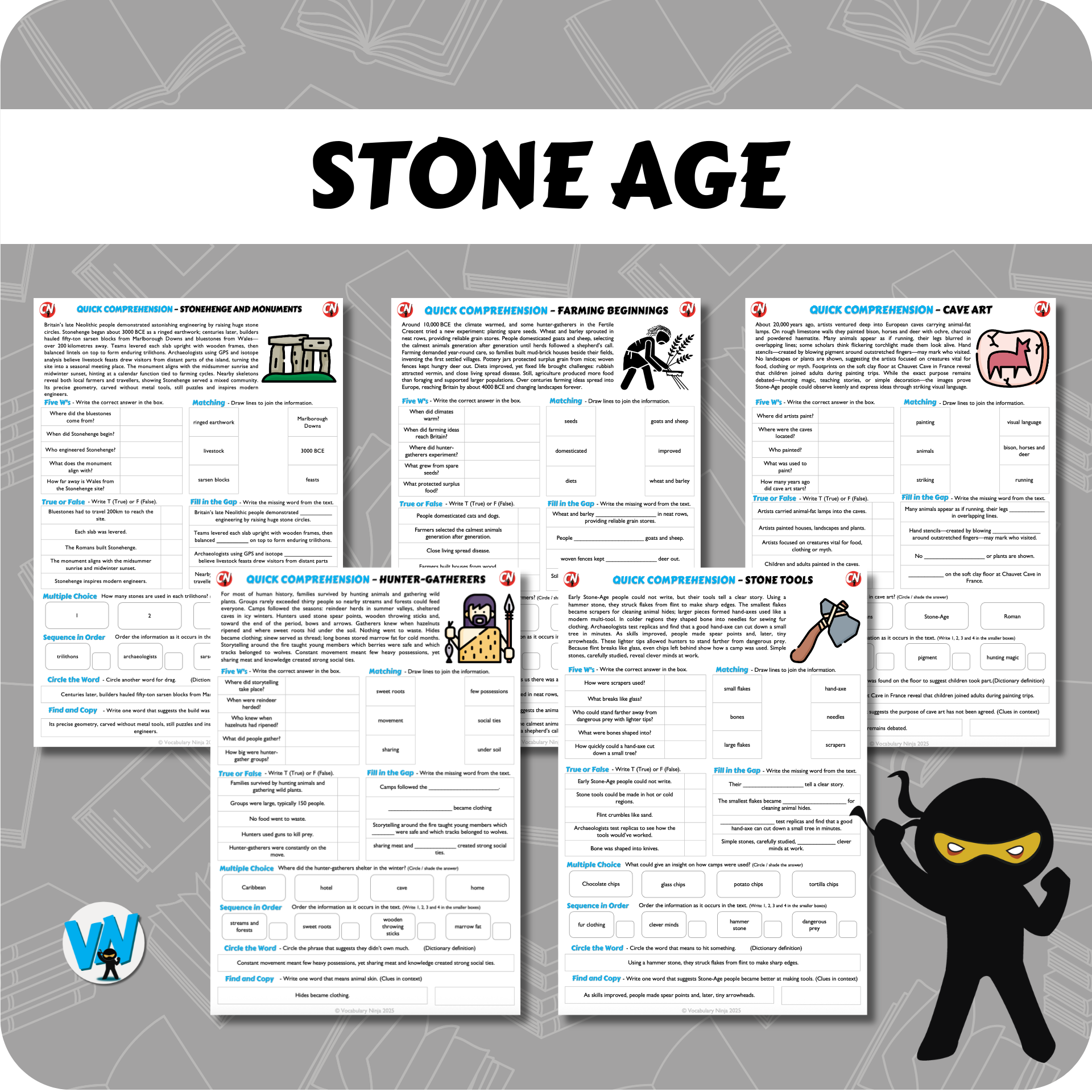 Quick Comprehension Topic Bundle – Y5 Bundle (10 packs) – Vocabulary Ninja