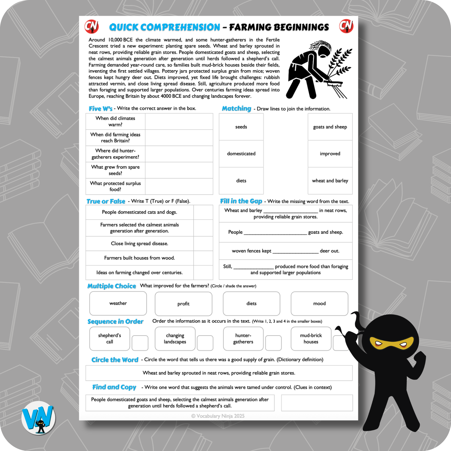 Quick Comprehension Topic Bundle – Y5 Stone Age – Vocabulary Ninja