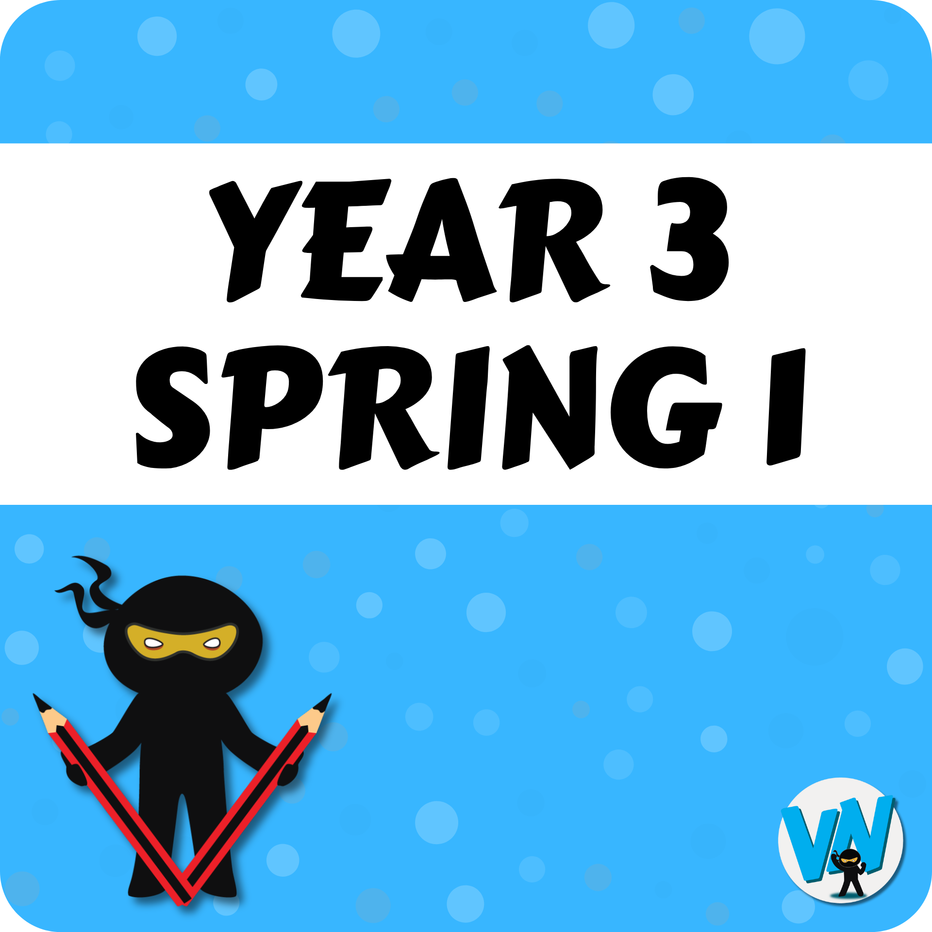 Spelling System Year 3 – Spring 1 – Vocabulary Ninja