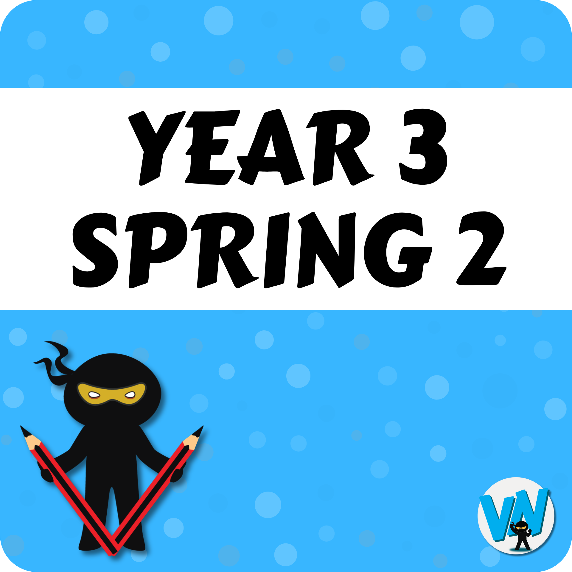 Spelling System Year 3 – Spring 2 – Vocabulary Ninja