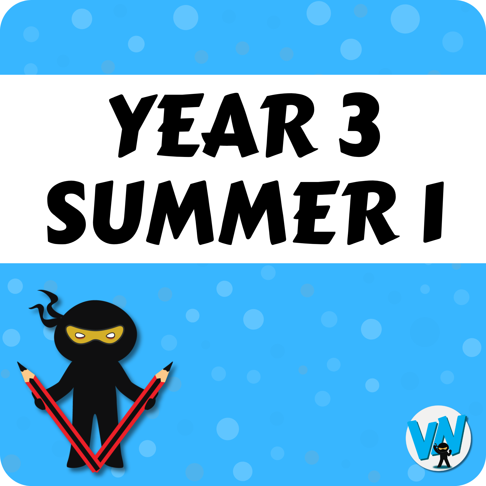 Spelling System Year 3 – Summer 1 – Vocabulary Ninja