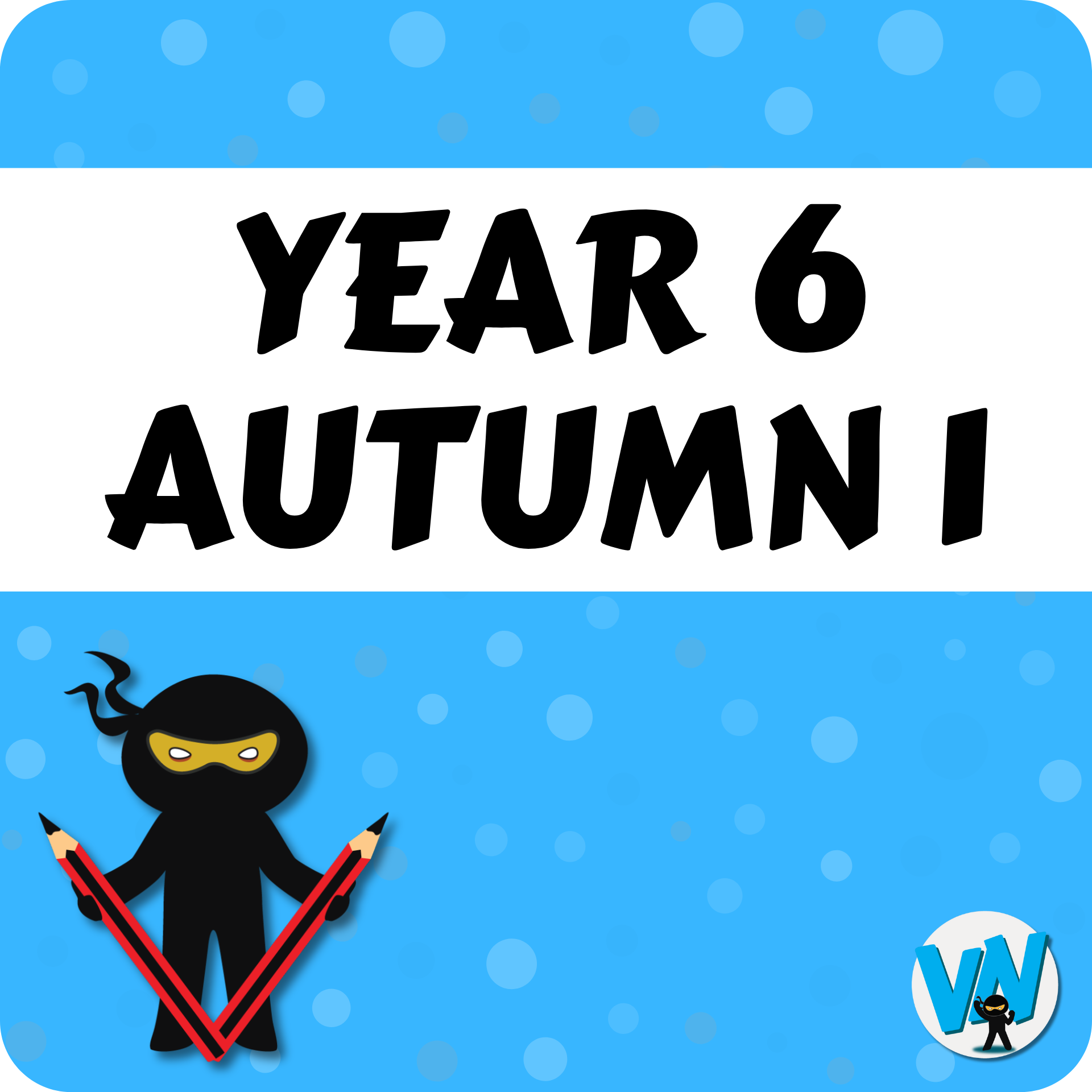 Spelling System Year 6 – Autumn 1 – Vocabulary Ninja