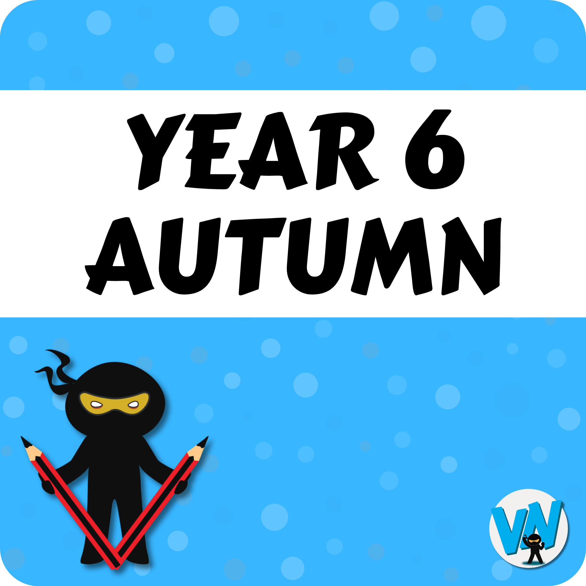 Spelling System Year 6 – Autumn – Vocabulary Ninja