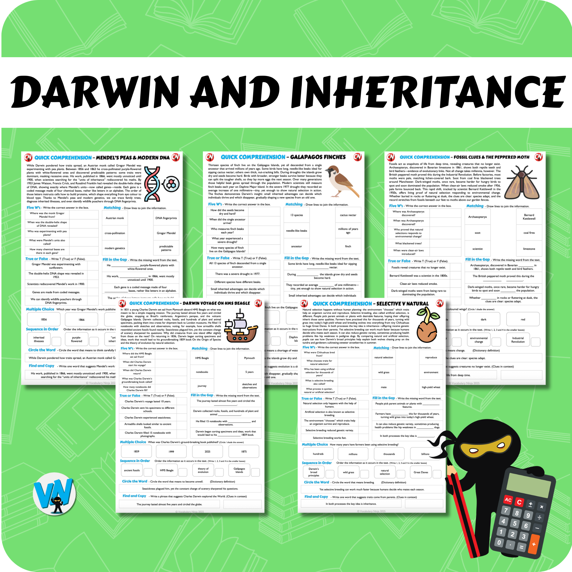 Quick Comprehension Topic Bundle – Y1 to Y6 Bundle (61 Topics ...