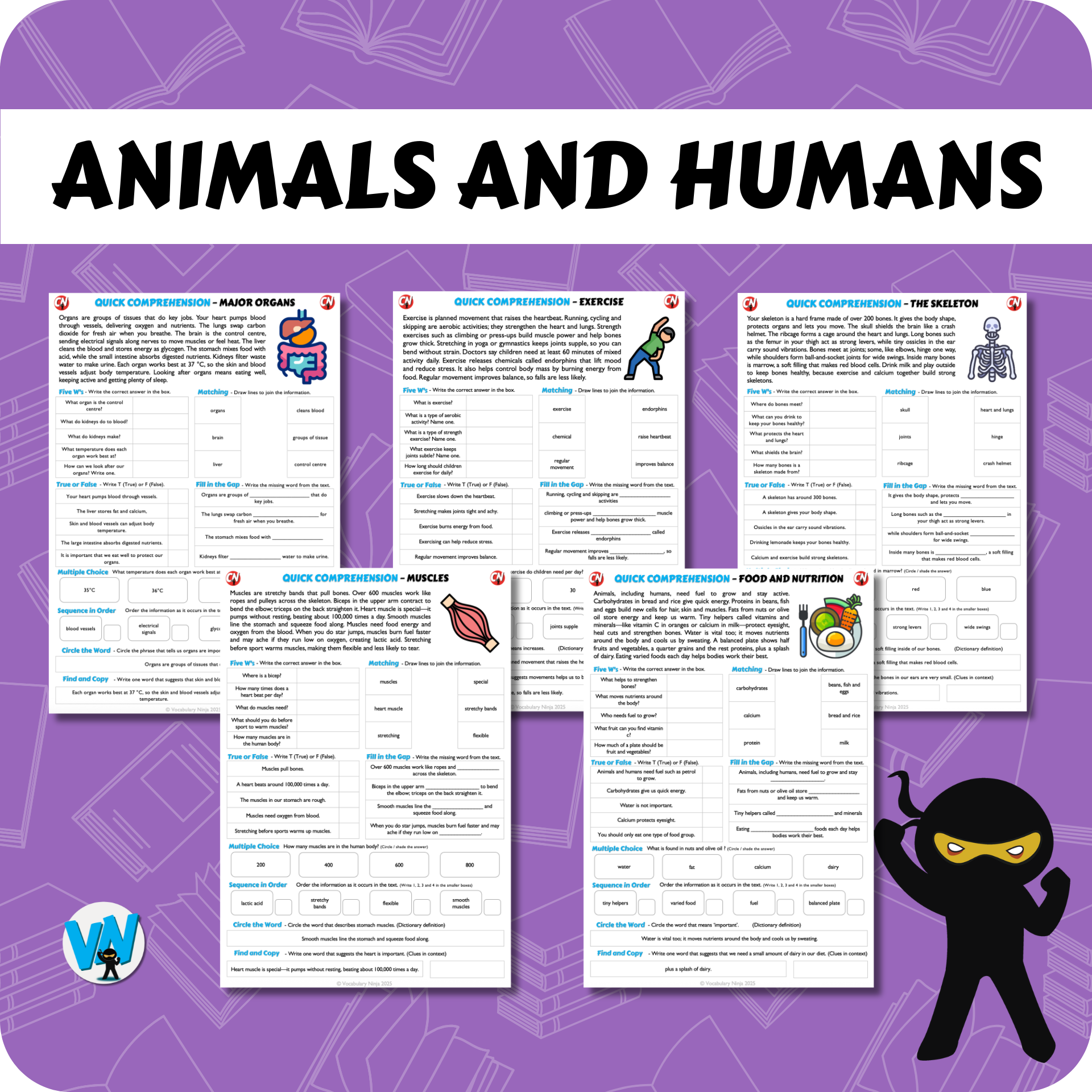 Quick Comprehension Topic Bundle – Y3 Bundle (10 packs) – Vocabulary Ninja