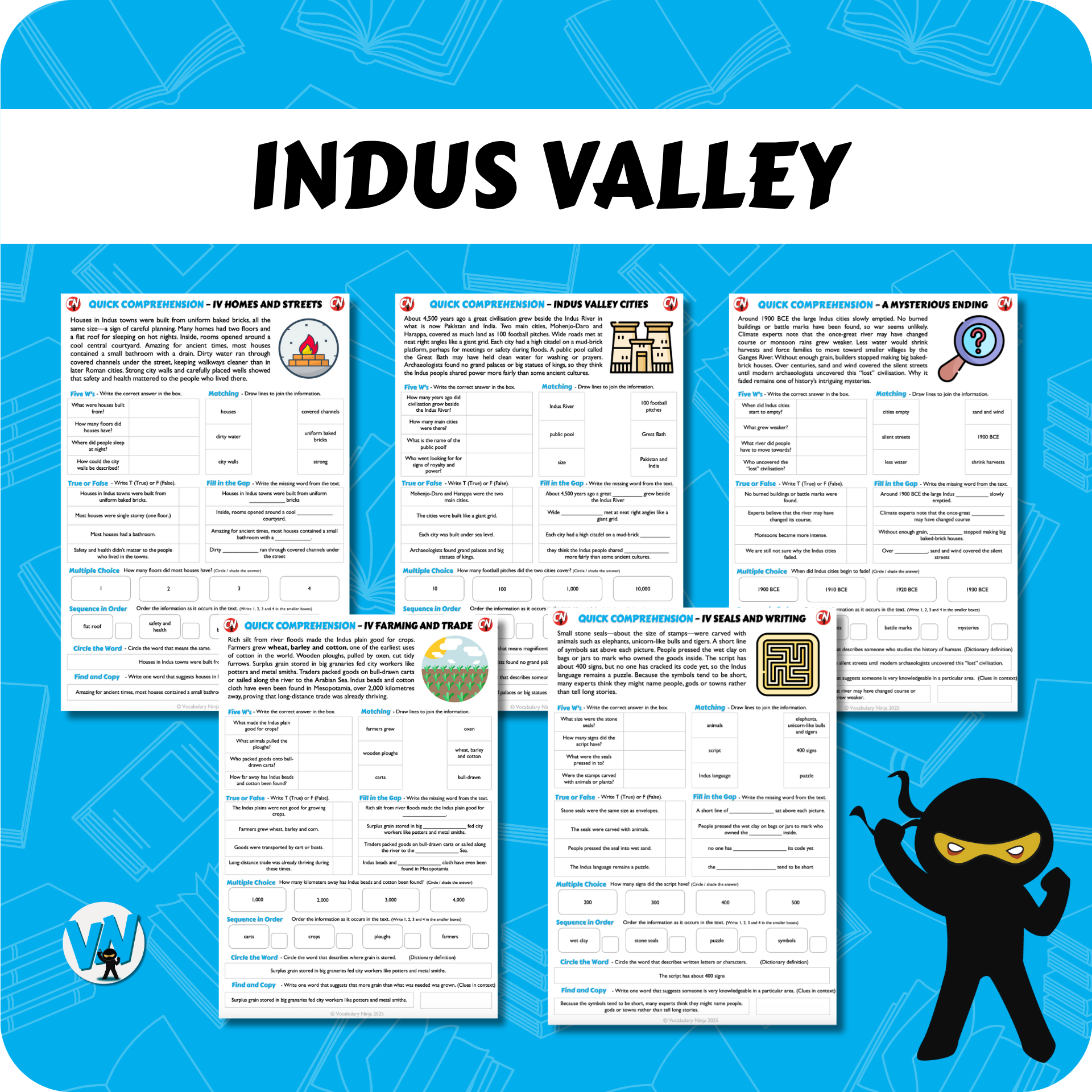 Quick Comprehension Topic Bundle – Y3 Bundle (10 packs) – Vocabulary Ninja
