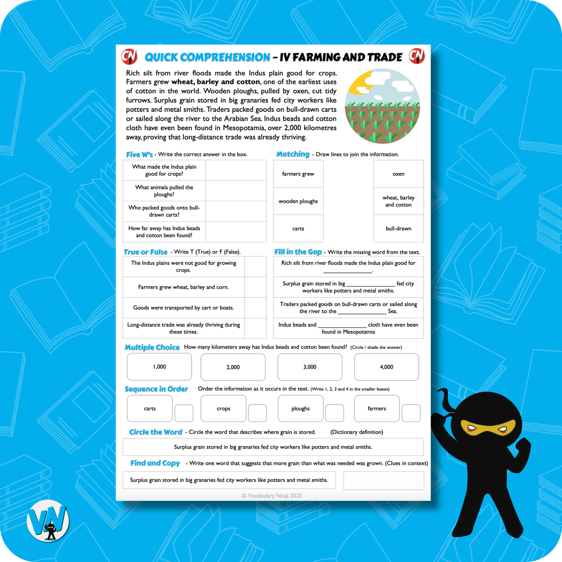 Quick Comprehension Topic Bundle – Y3 Indus Valley – Vocabulary Ninja