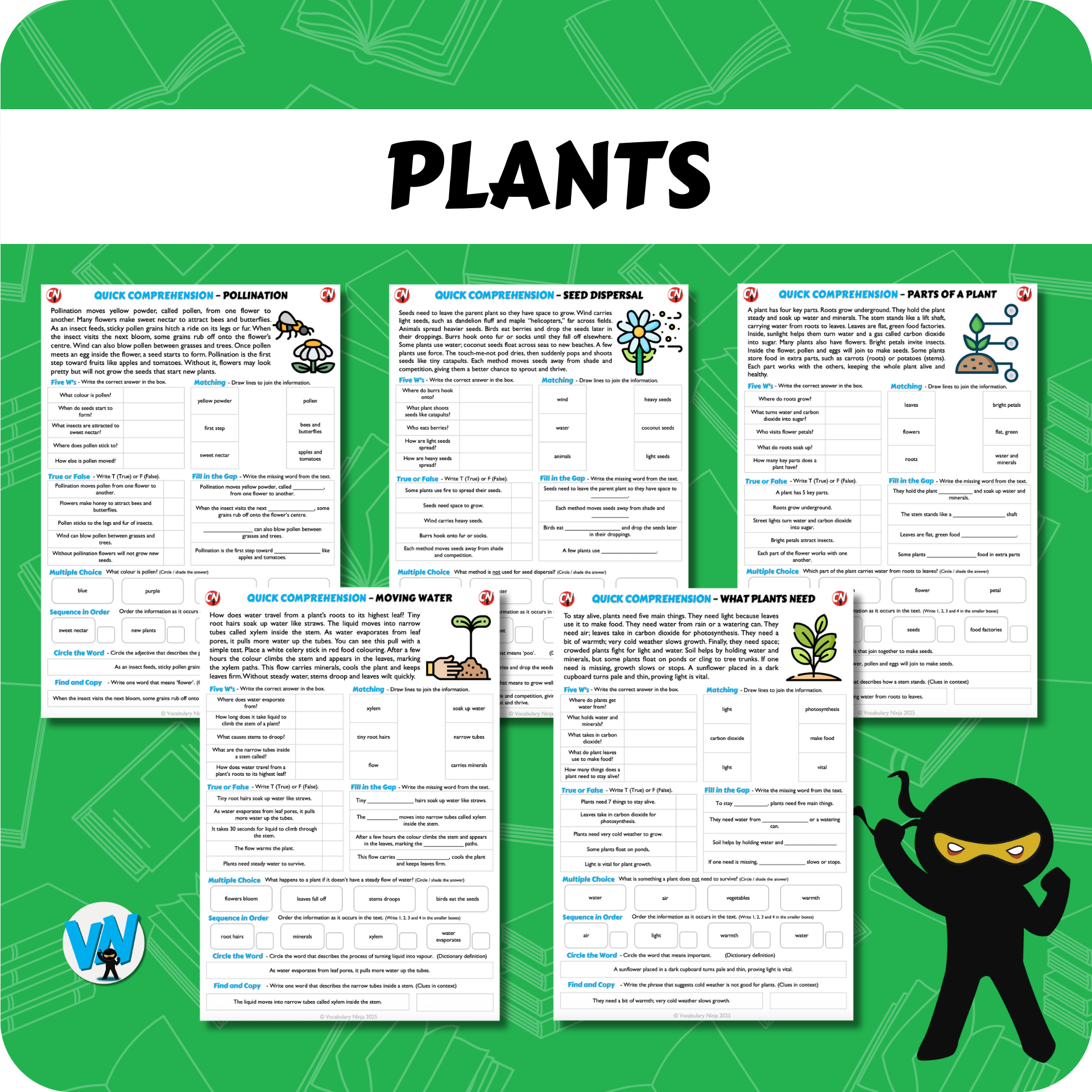 Quick Comprehension Topic Bundle – Y3 Bundle (10 packs) – Vocabulary Ninja