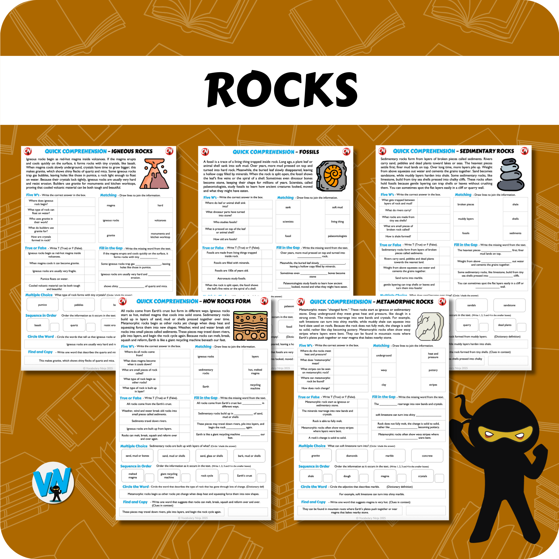 Quick Comprehension Topic Bundle – Y3 Bundle (10 packs) – Vocabulary Ninja